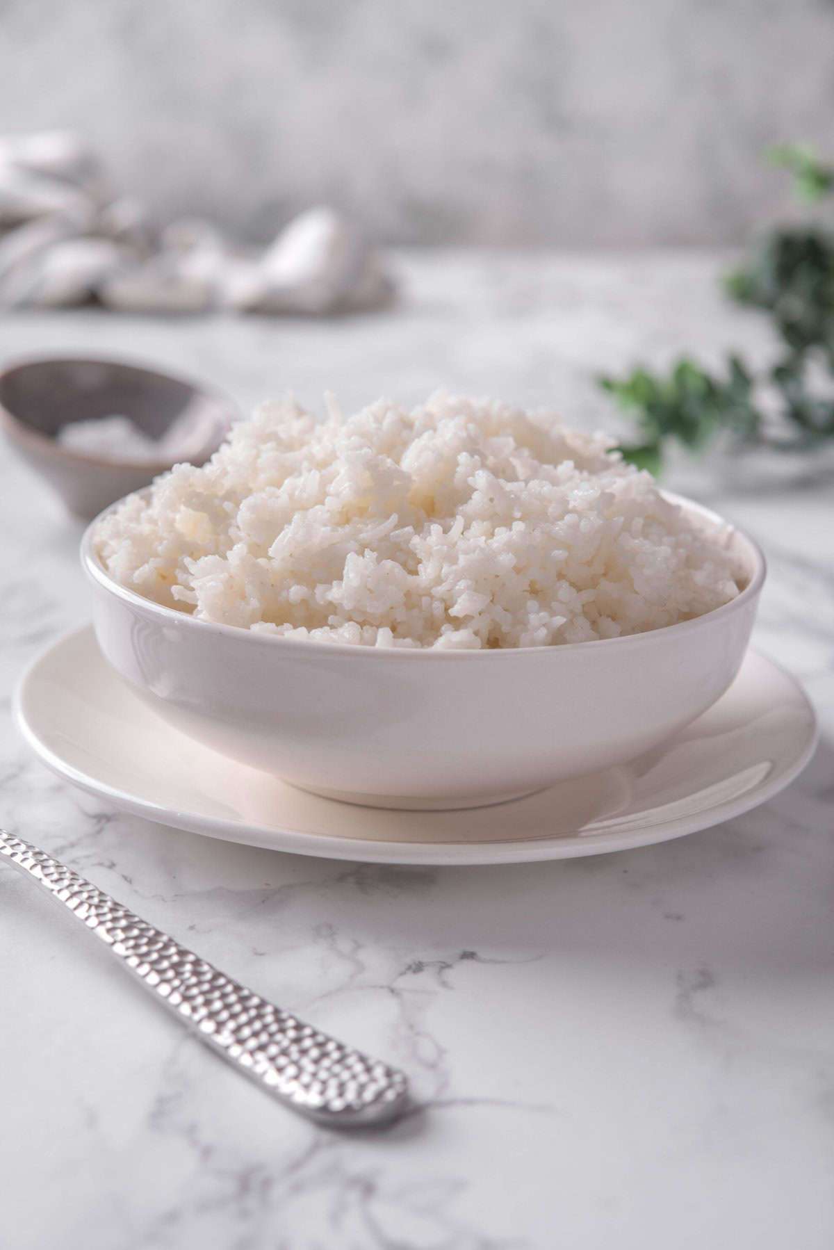 Steamed Rice - Cup of Yum